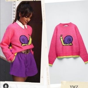 Zara | Sweaters | Zara Snail Jacquard Knit Sweater 57550 | Poshmark